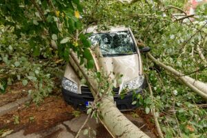 Understanding Missouri Sovereign Immunity Laws - Bradley Law Personal ...